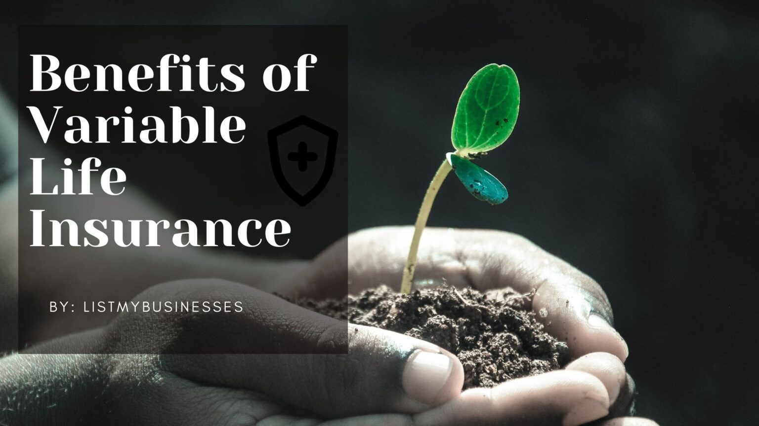 Top 5 Benefits of Variable Life Insurance – List My Businesses